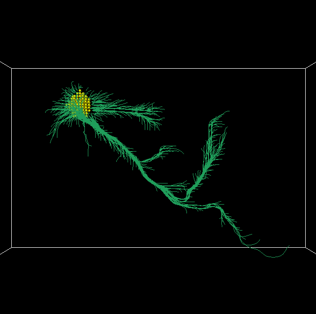 Allen Institute Analysis Examples