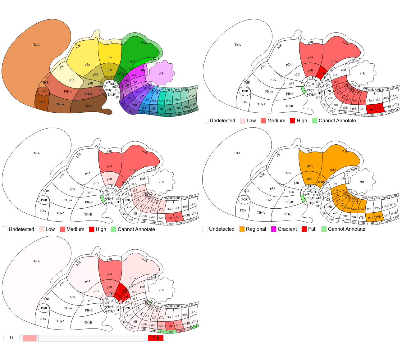 Allen Institute Analysis Examples