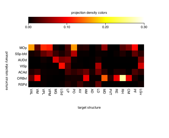 Allen Institute Analysis Examples